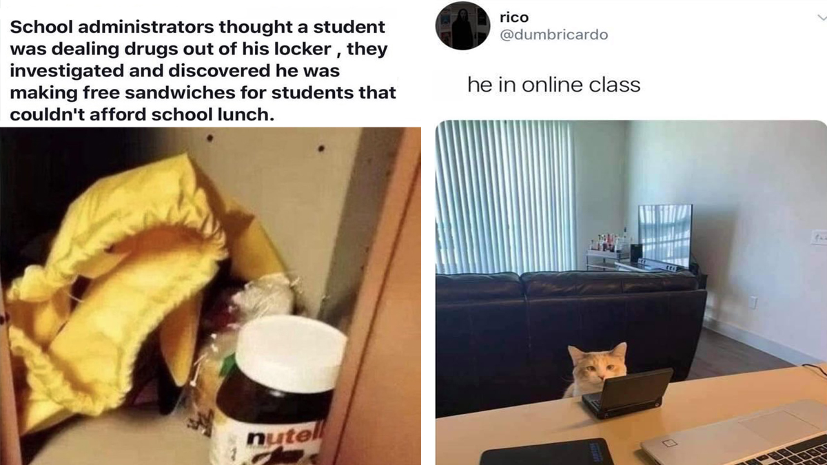 17 Wholesome Memes To Make Your Spirits Brighter For The Upcoming ...