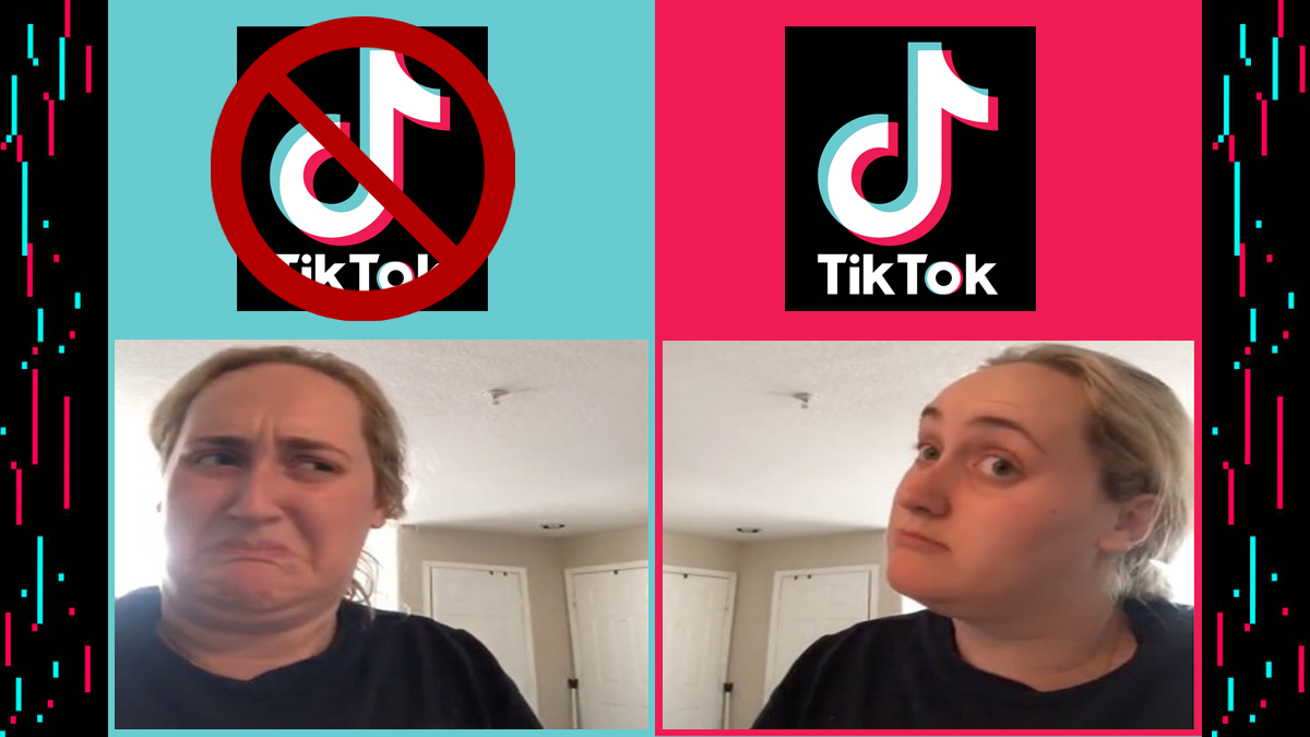 KYM Insights: How TikTok Stacks Up Against Other Video Meme Platforms ...