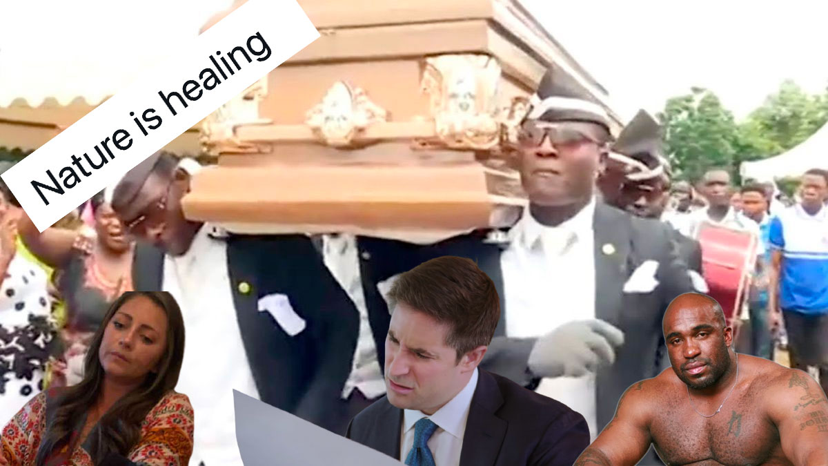 KYM Review: The Memes That Defined The Coronavirus Pandemic in 2020 ...