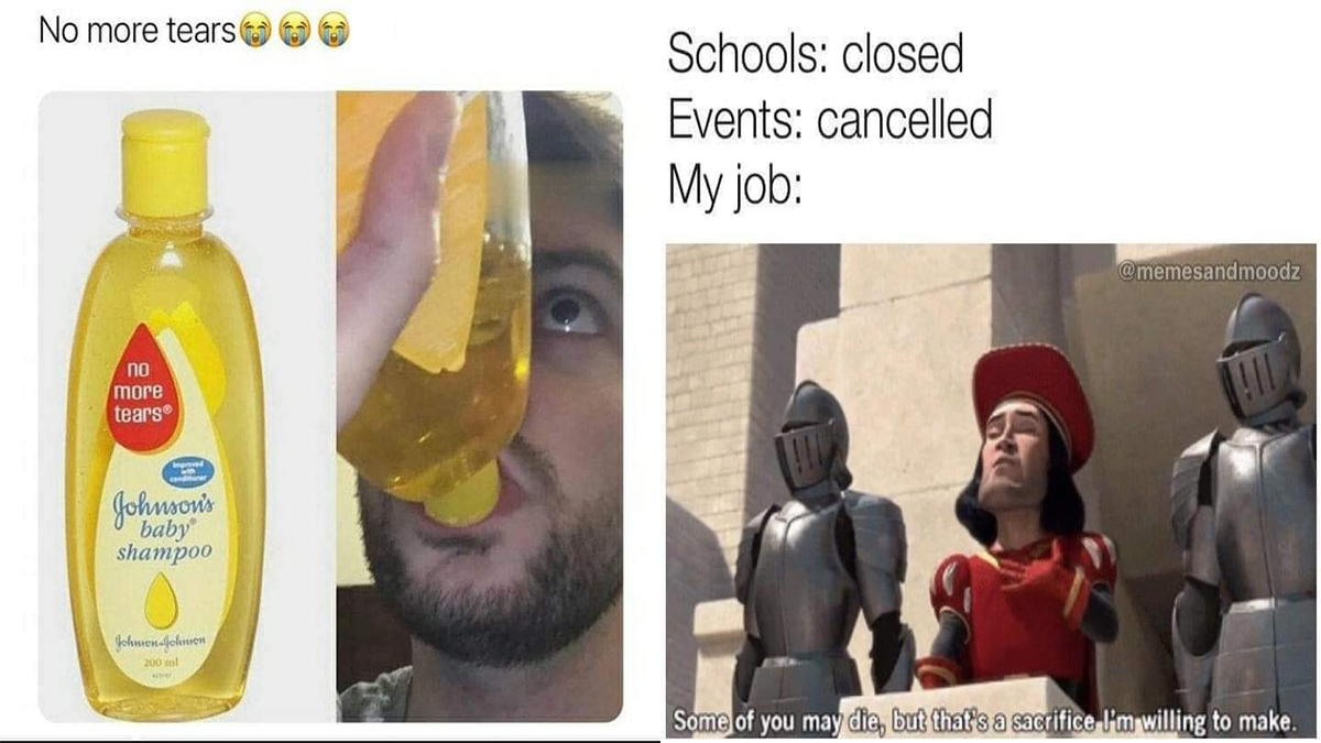 The Best Memes That Made It Past Our "Meme Checkpoint" Facebook ...