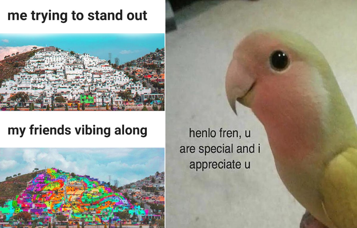 18 Wholesome Memes About The Power Of Friendship | Know Your Meme