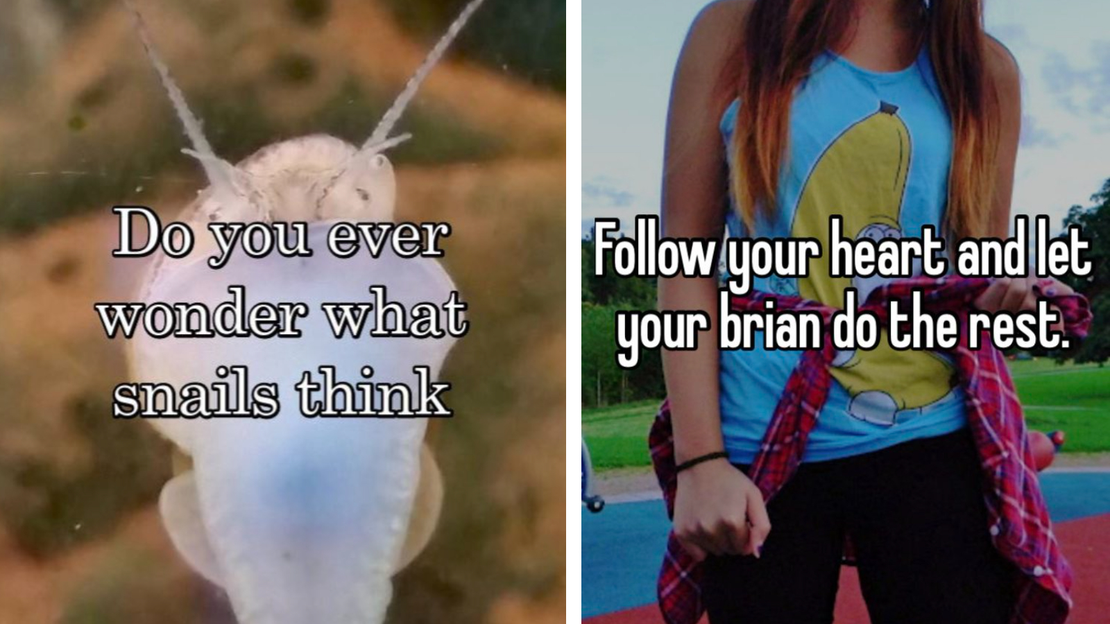 18 'Whisper' Posts That Should've Stayed Secrets | Know Your Meme