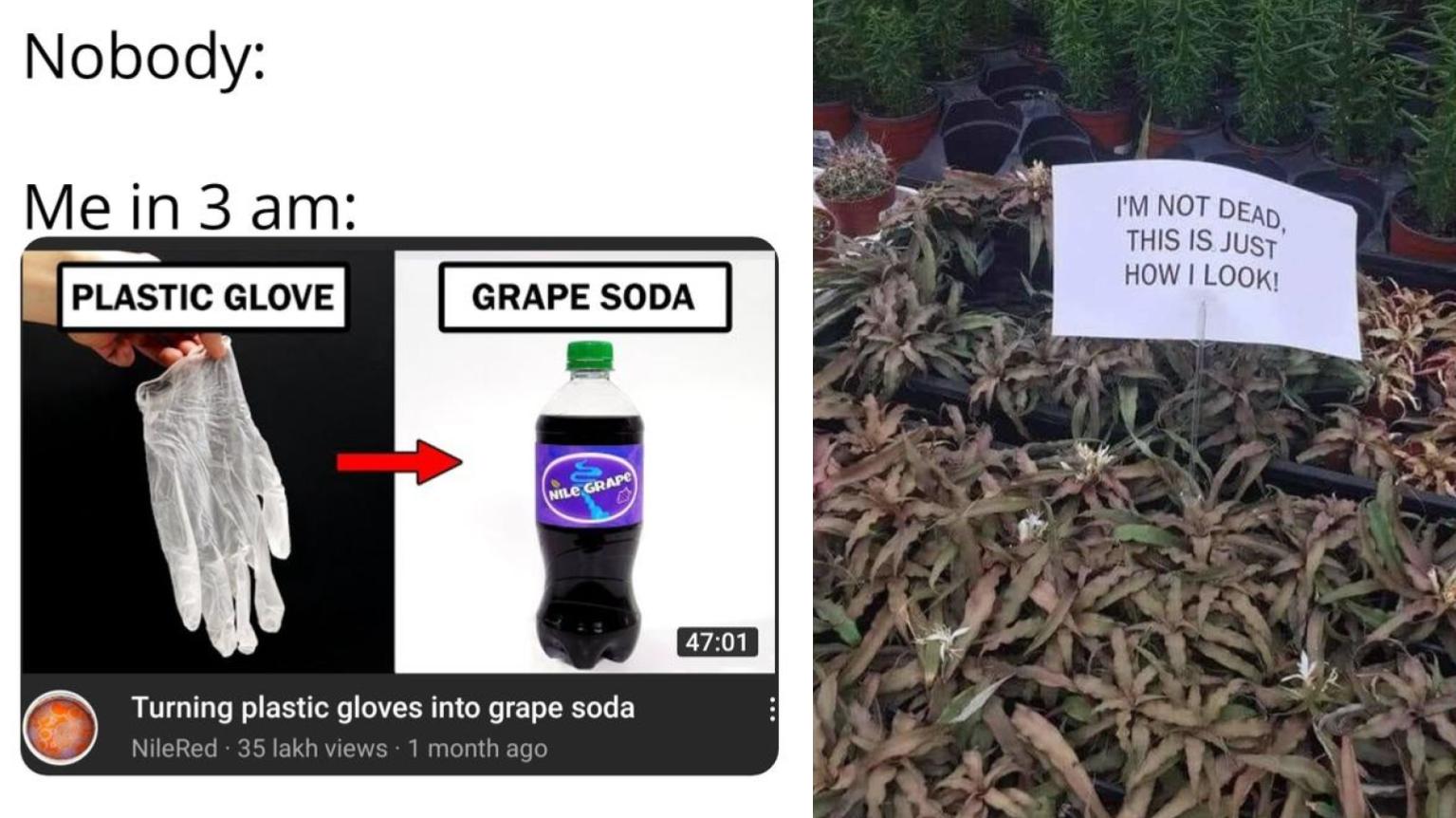 Feel Connected To Internet Strangers With These 15 Memes You Can't Help ...