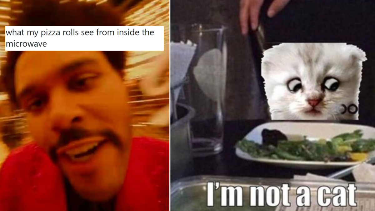 20 Memes From The Week Of The Weeknd And Zoom Cat Lawyer | Know Your Meme