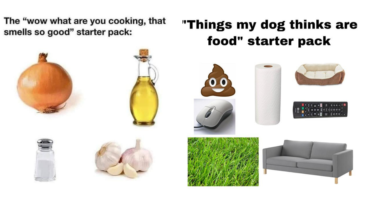 20 Specific Yet Relatable Starter Pack Memes Perfect For Everyone ...