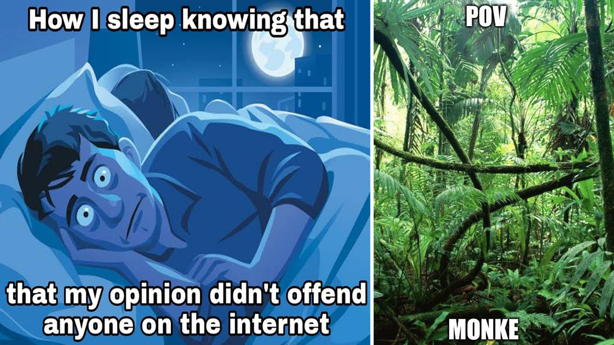 Ok Buddy, Here Are 20 Ironic Fever Dreams To Wet Your Whistle | Know ...