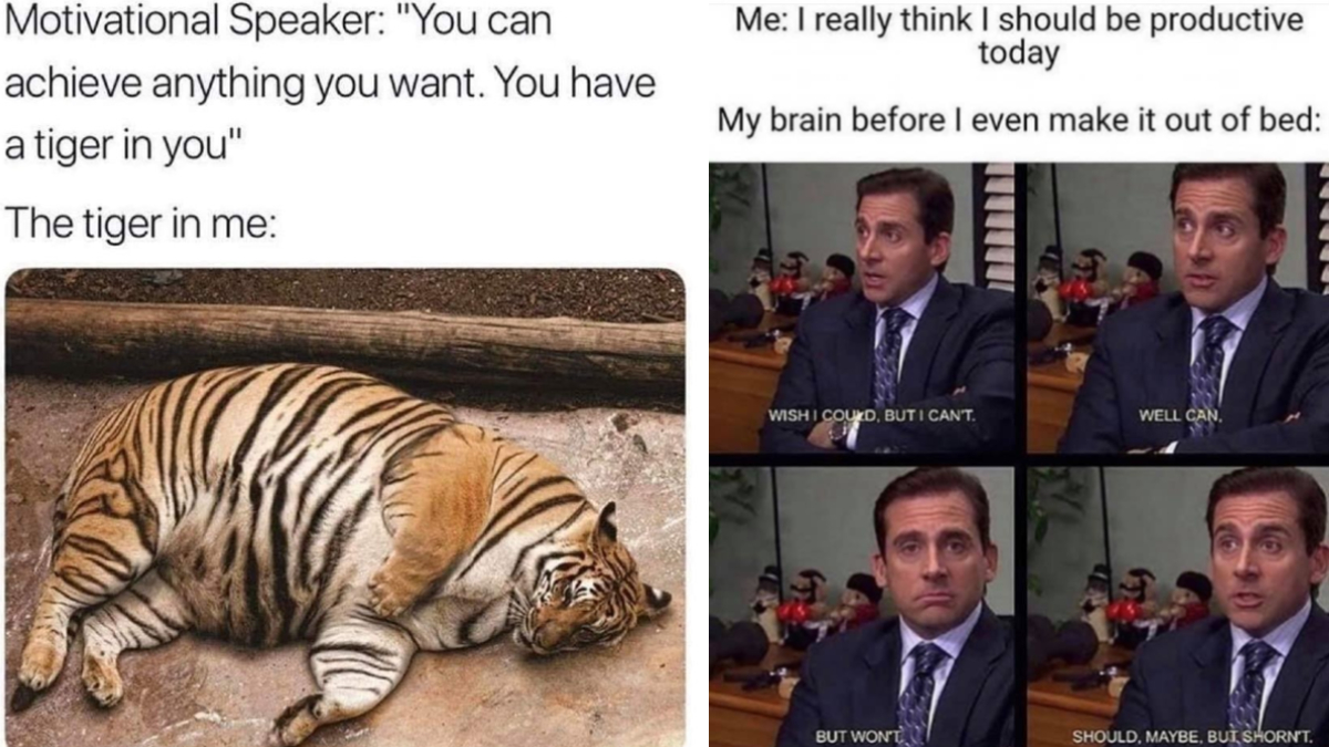 The Best Memes That Made It Past Our 'Meme Checkpoint' Facebook ...