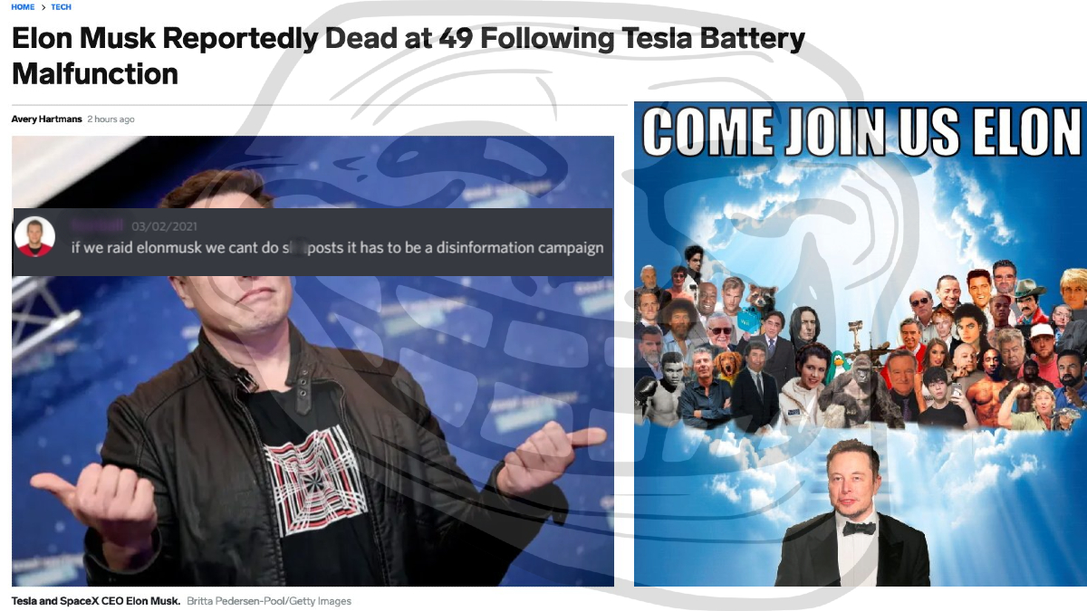 #RIPElon: Trolls Behind Viral Elon Musk Death Hoax Tell-All In ...