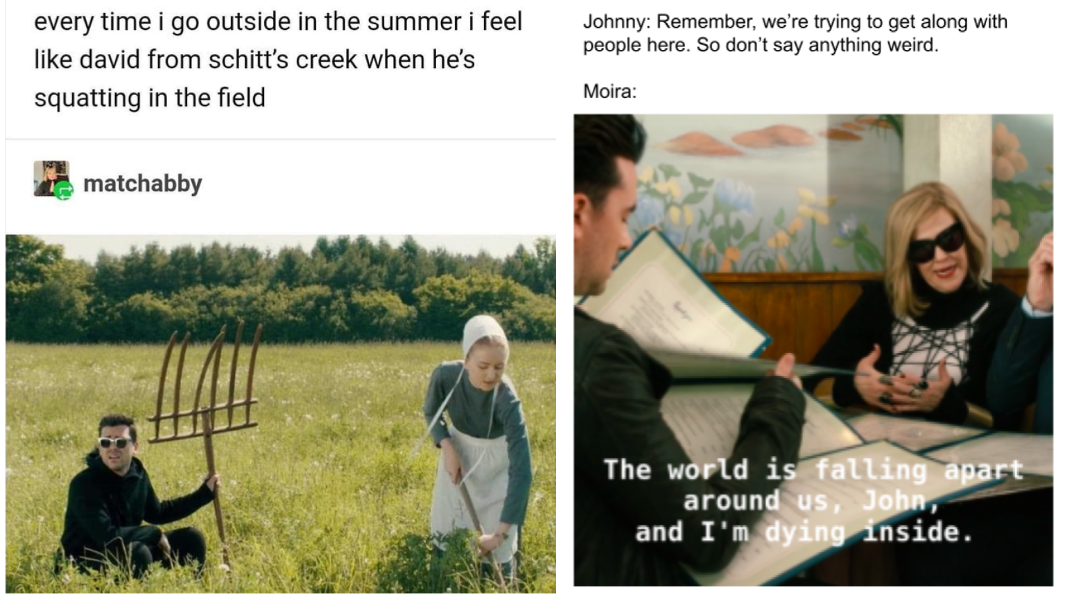 Top TV Memes: The Best Meme Formats From 'Schitt's Creek' | Know Your Meme