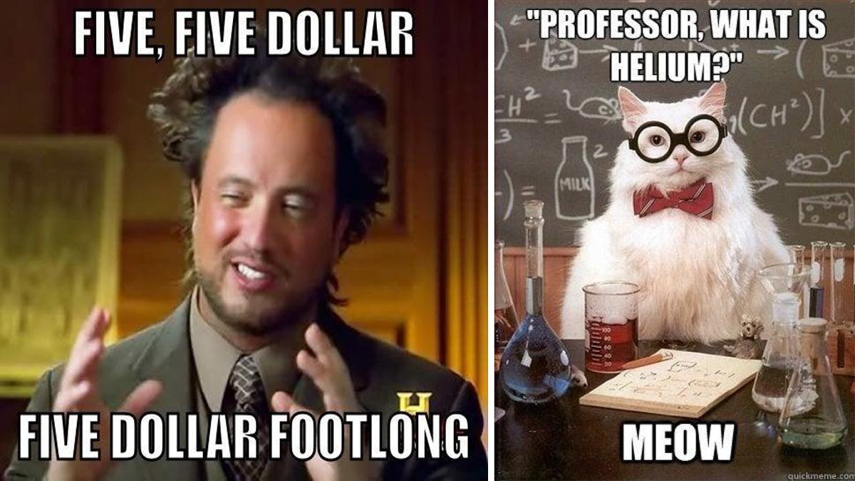 The 25 Worst Advice Animals Of All Time To Make You Feel Like You're ...