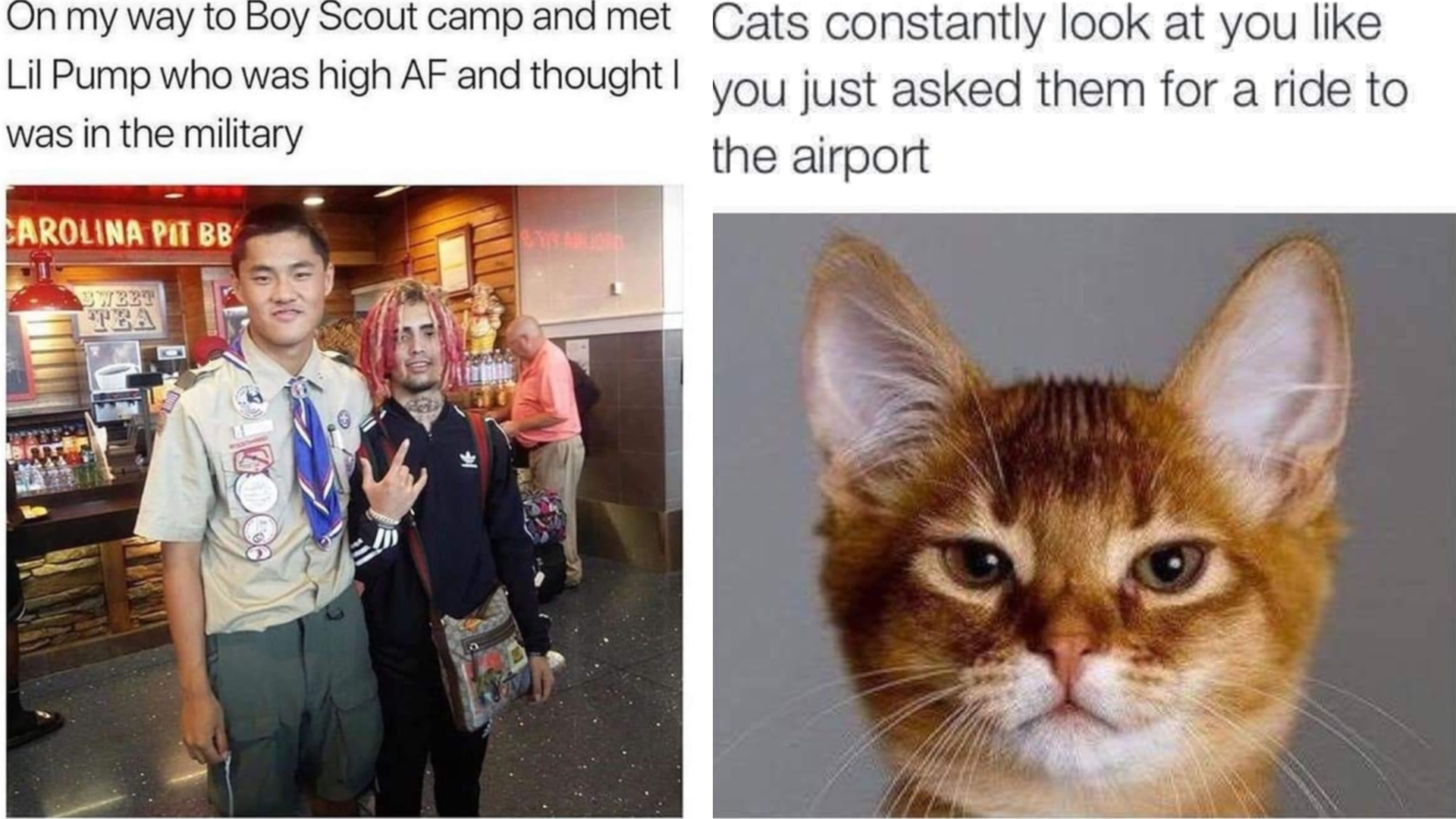 The Best Memes That Made It Past Our Weekly "Meme Checkpoint" Facebook ...