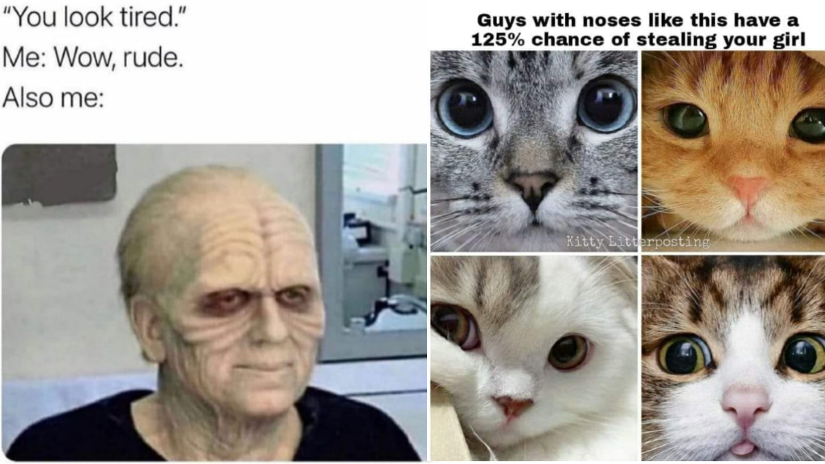 The Best Memes That Made It Past Our 'Meme Checkpoint' Facebook ...