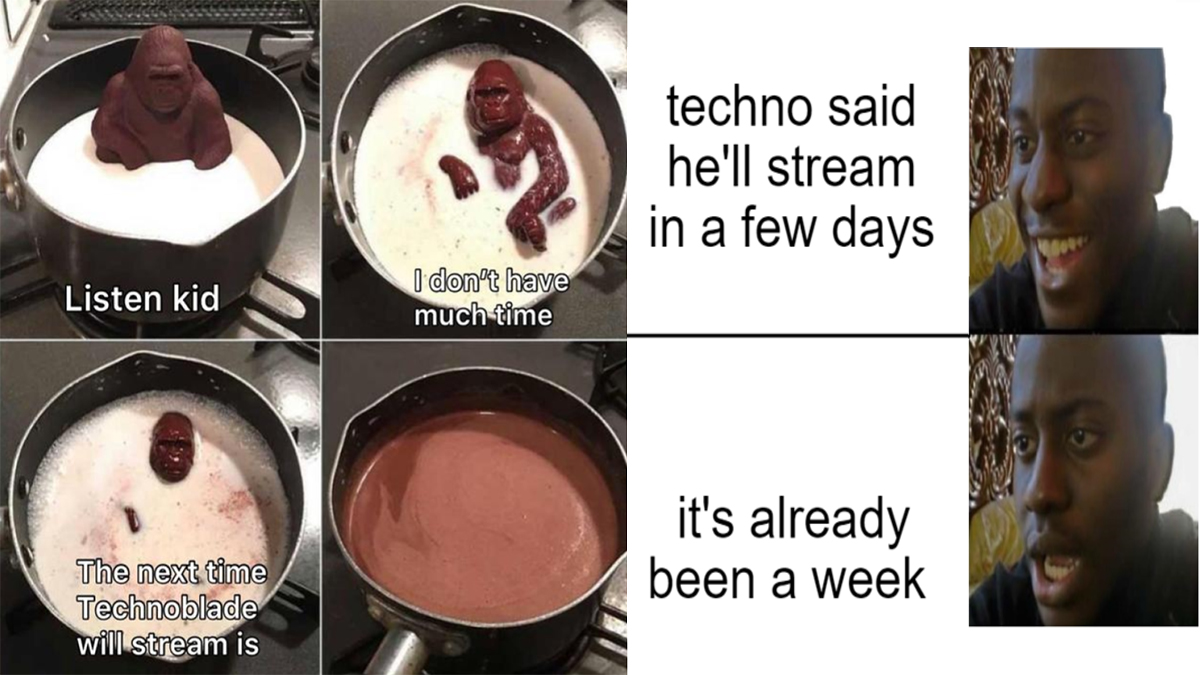 20 Technoblade Memes For Fans To Enjoy While Waiting For His Next ...