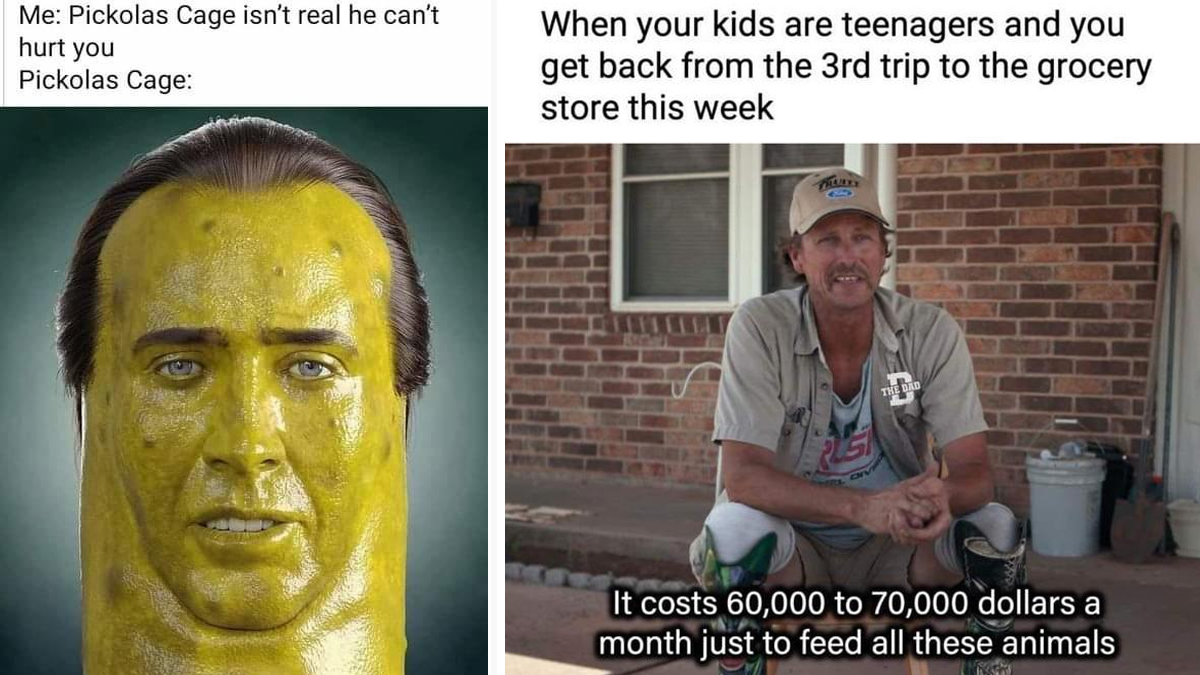 Choice Memes Sent In By Our Beloved Followers: The Best Reader Memes Of ...