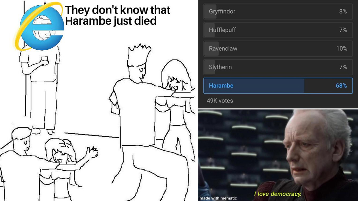 15 Memes Honoring The Famous Gorilla Harambe Eight Years After His ...