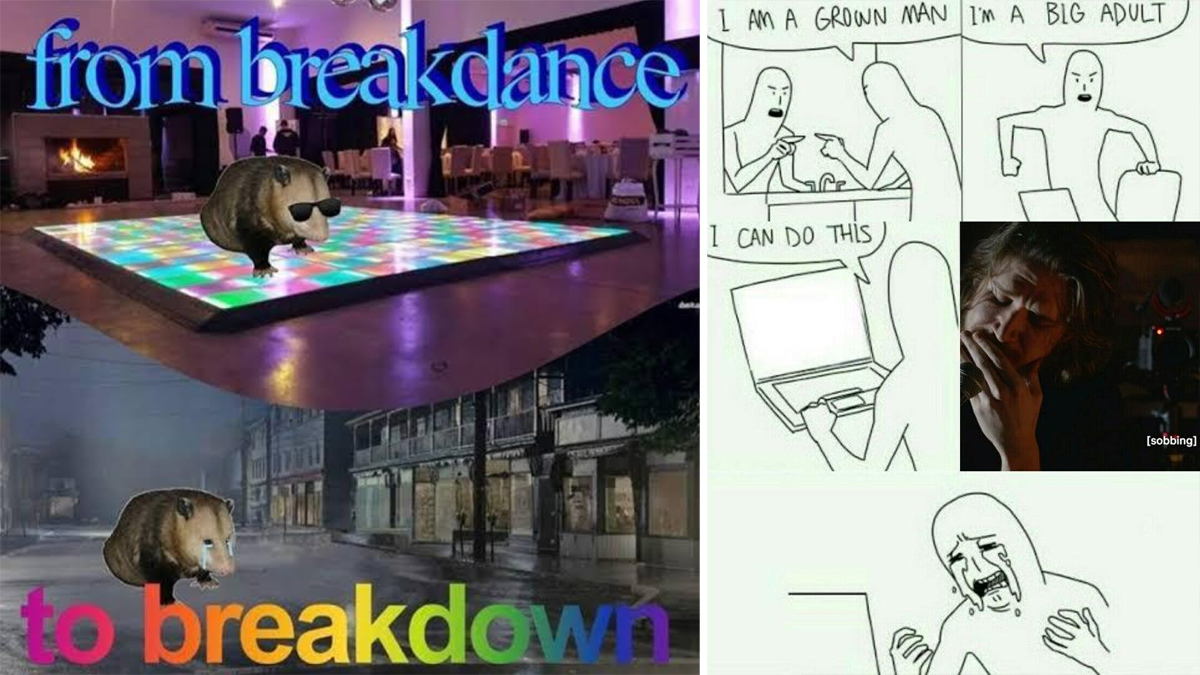 14 Memes Inspired By Bo Burnham's New Comedy Special 'Inside' | Know Your Meme