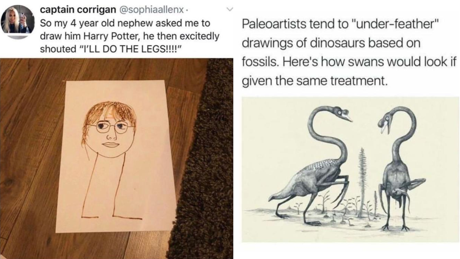 20 Unnerving Images We Can't Look Away From | Know Your Meme