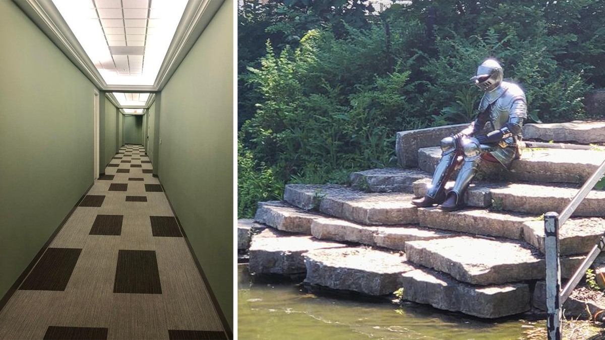 Pique Your Curiosity With 25 Mildly Interesting Images | Know Your Meme