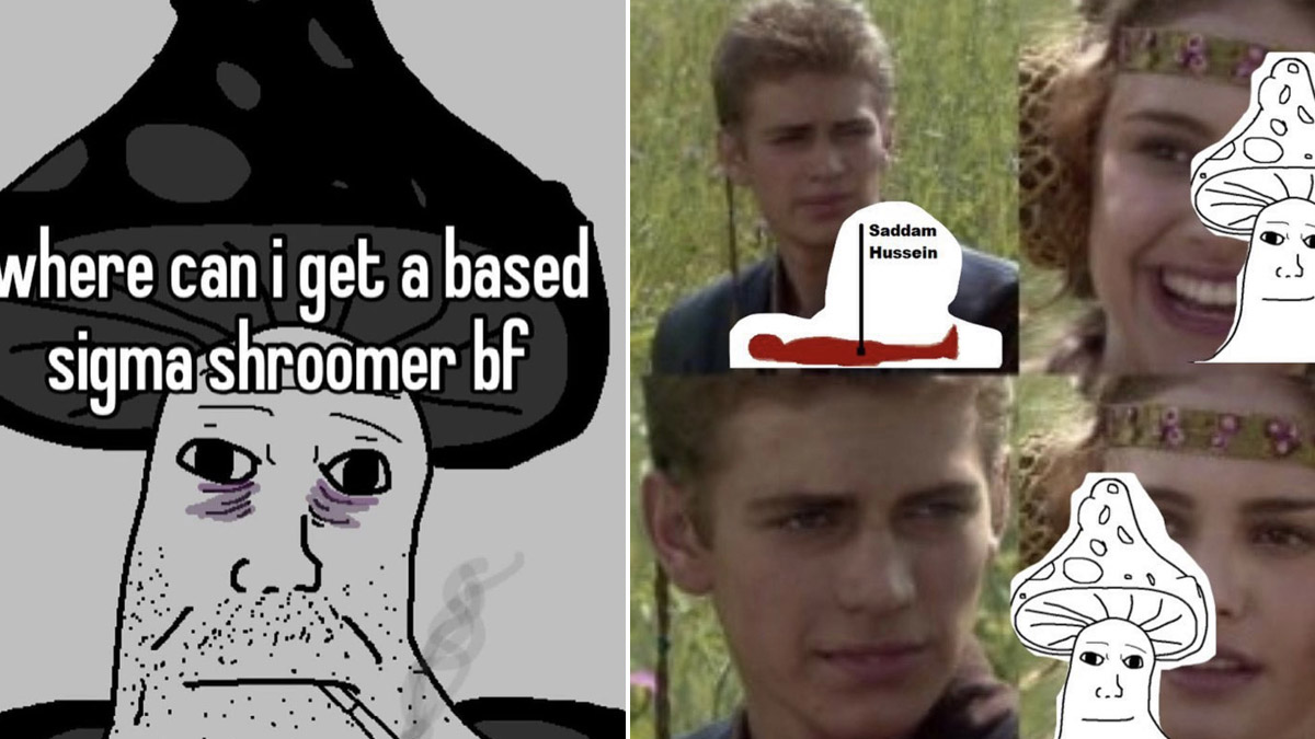 25 Shroomjak Memes From the Week of Madness That Just Ensued | Know ...