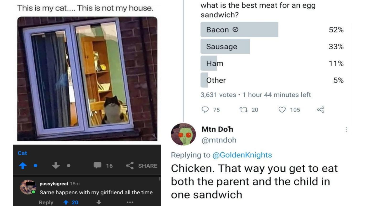 16 'Cursed Comments' To Leave You Feeling Unsettled | Know Your Meme