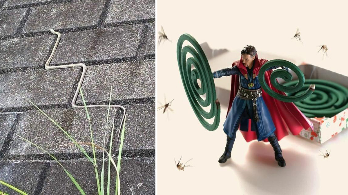 13 Out-Of-Context Photos From Reddit's 'Hmmm' For A Confusing Start To ...