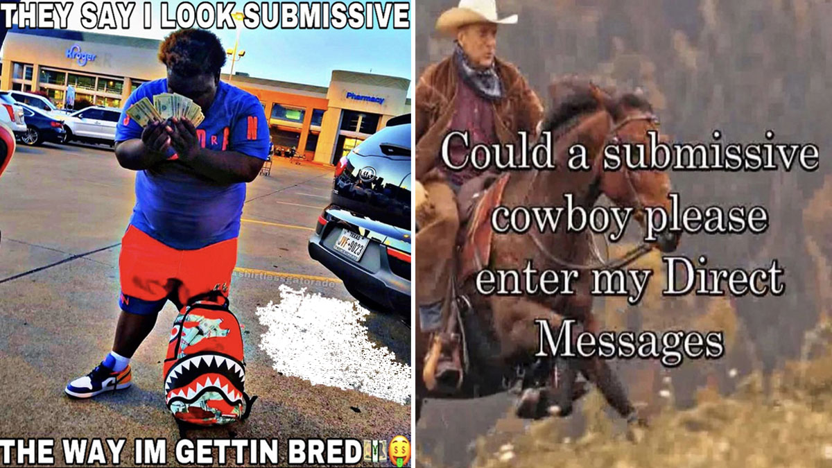 Normalize These 20 'Submissive and Breedable' Memes | Know Your Meme