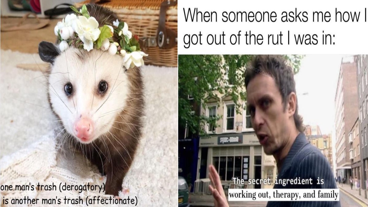 16 Wholesome Memes For Some Positivity And Humor | Know Your Meme