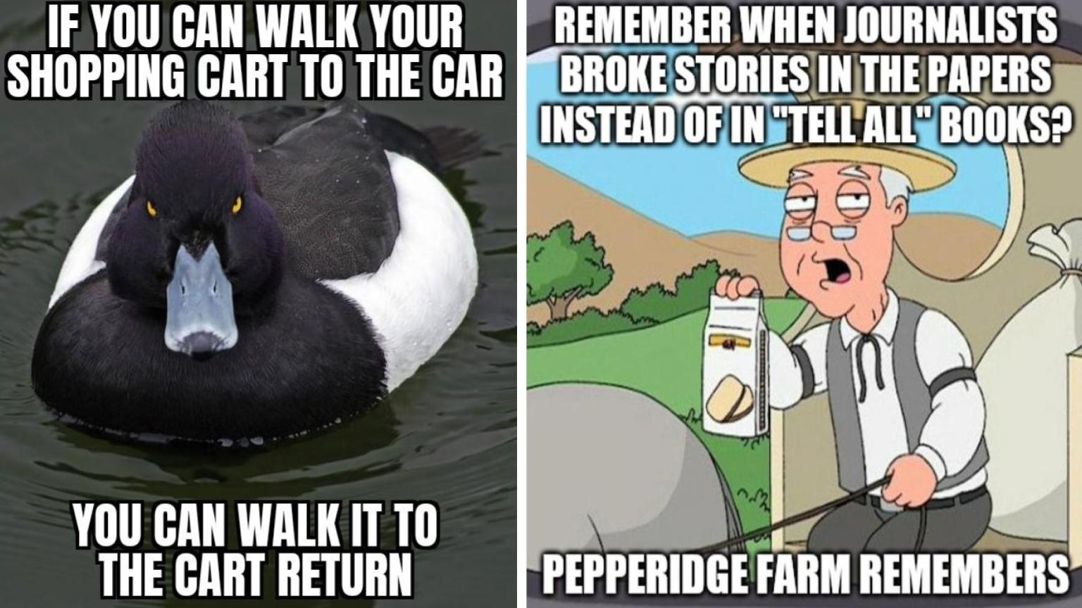 20 Advice Animals That Are Still Great Memes In 2024 | Know Your Meme