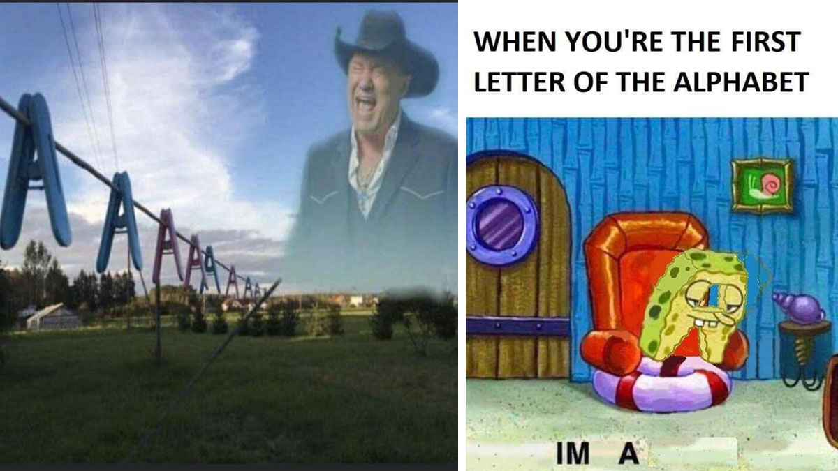 18 Images You Can Hear From Reddit's 'AAAAAAAAAAAAAAAAA' | Know Your Meme