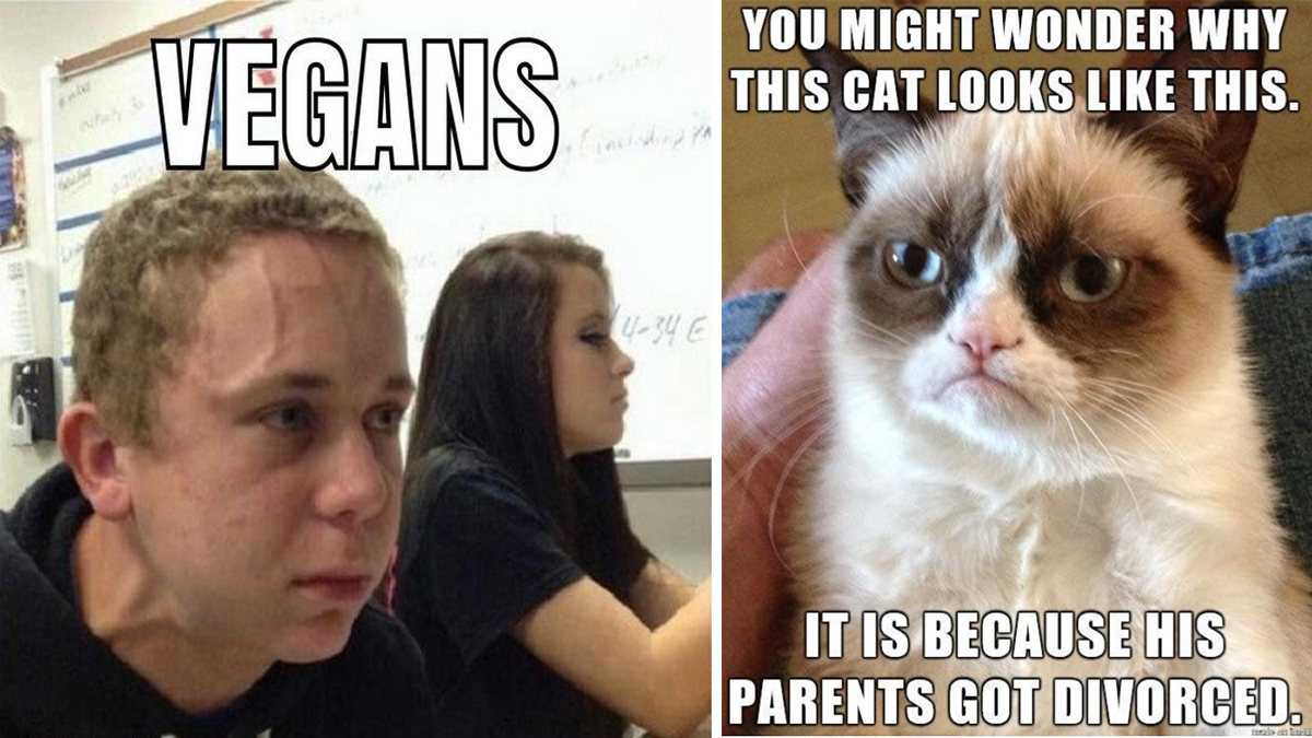 15 Of The Worst Advice Animals Anyone Has Ever Seen | Know Your Meme