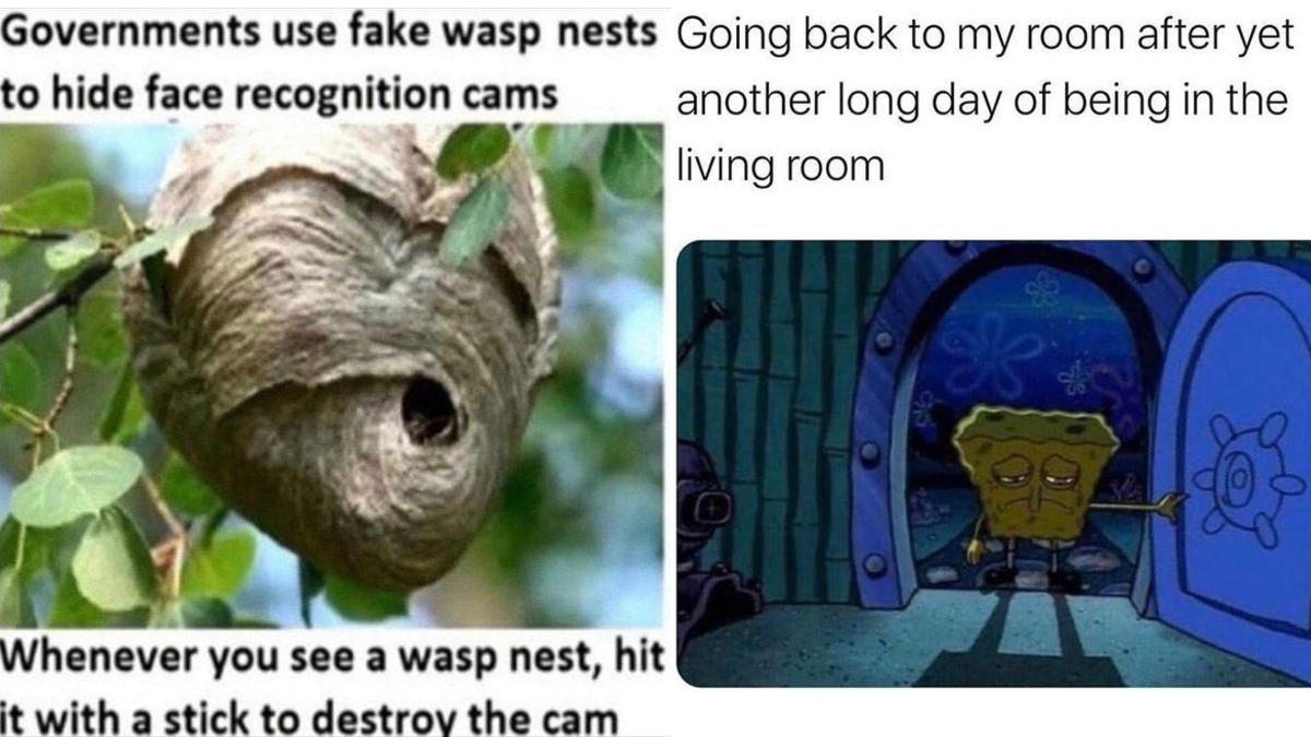 The Best Memes That Made It Past Our 'Meme Checkpoint' Facebook ...