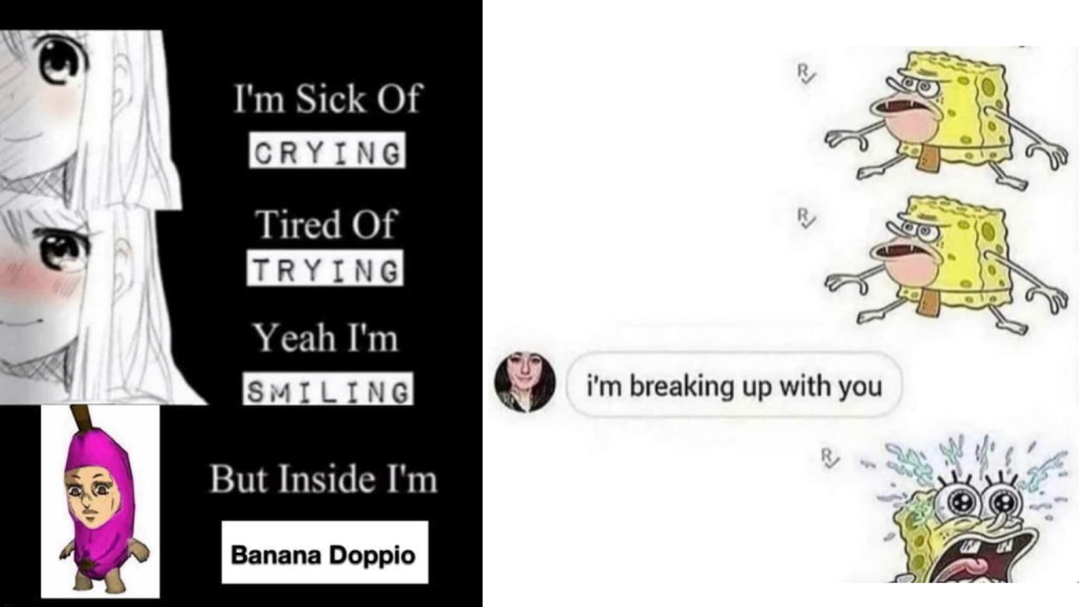 Explore The Modern Teenage Mind With 15 Memes From Reddit's 'I'm 15 And ...