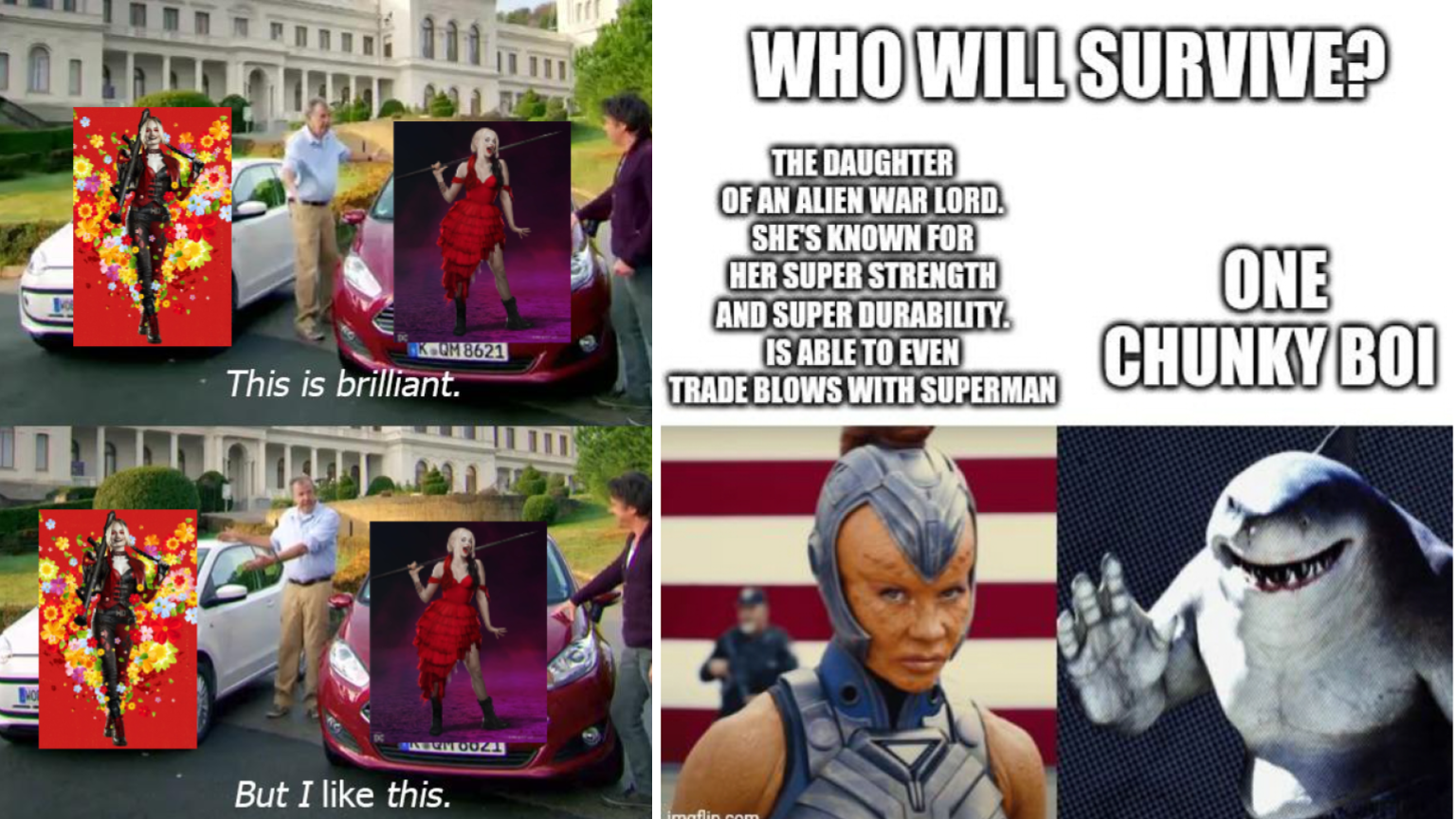 Try Your Hardest To Survive These 15 Memes Of 'The Suicide Squad ...