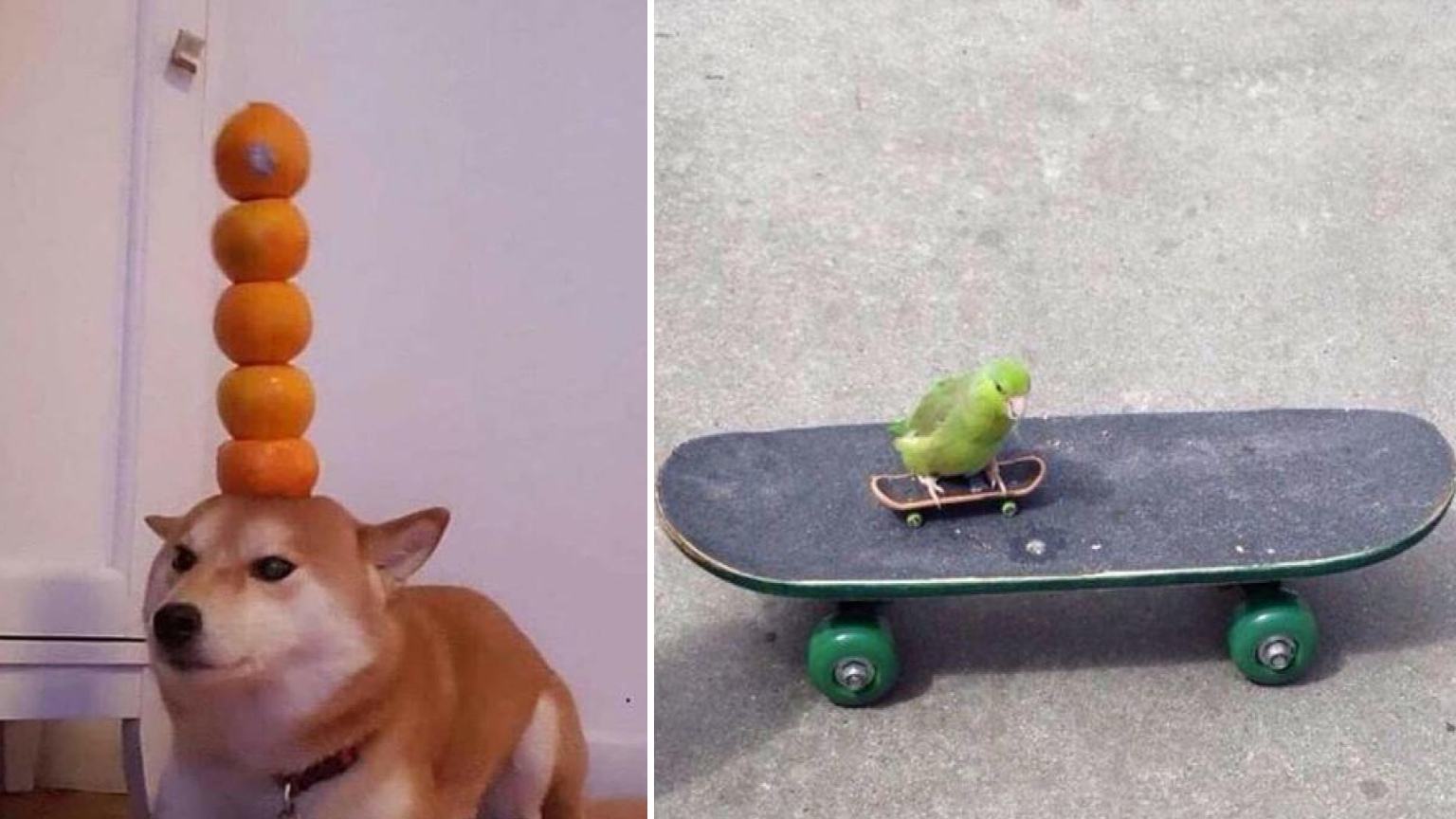 25 Blessed Images, Because Tuesdays Are The Worst | Know Your Meme