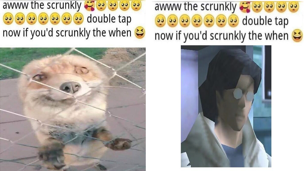 'Awww The Scrunkly': 16 Visual Aids To Understand The Ridiculous ...