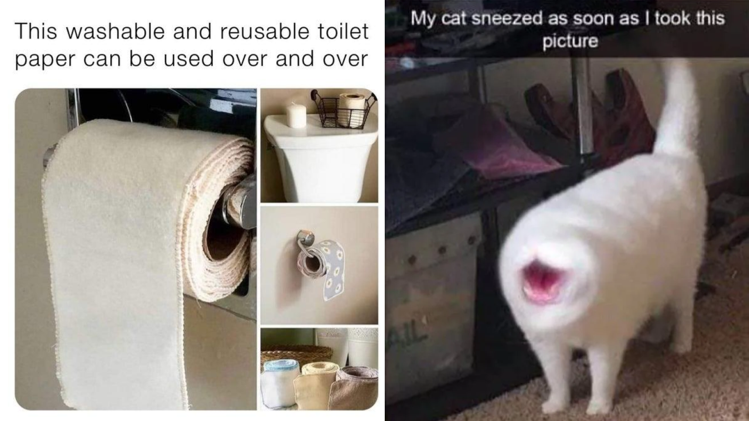 19 Pictures You'll Despise, But In A Good Way | Know Your Meme