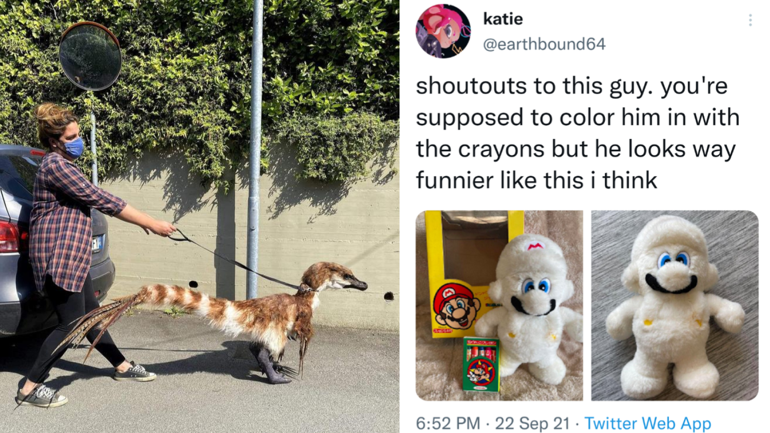 20 Of The Best 'Blursed Images' For Your Weird Morning | Know Your Meme