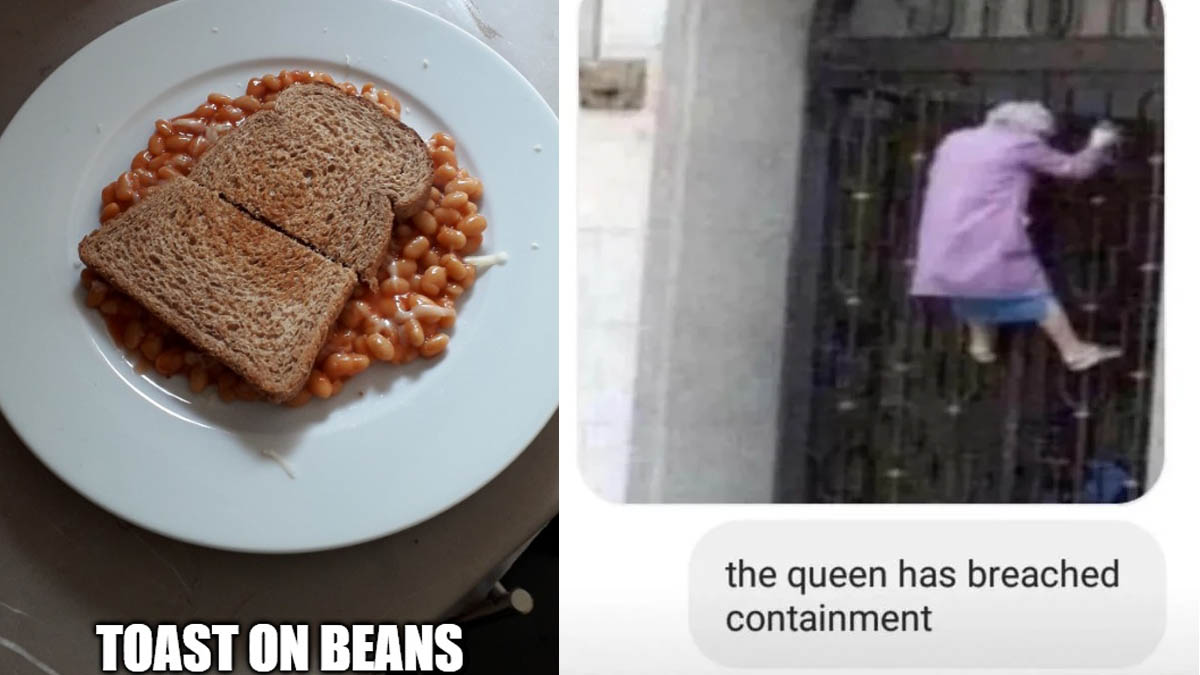 18 Aggressively British Memes About Bri'ish People | Know Your Meme