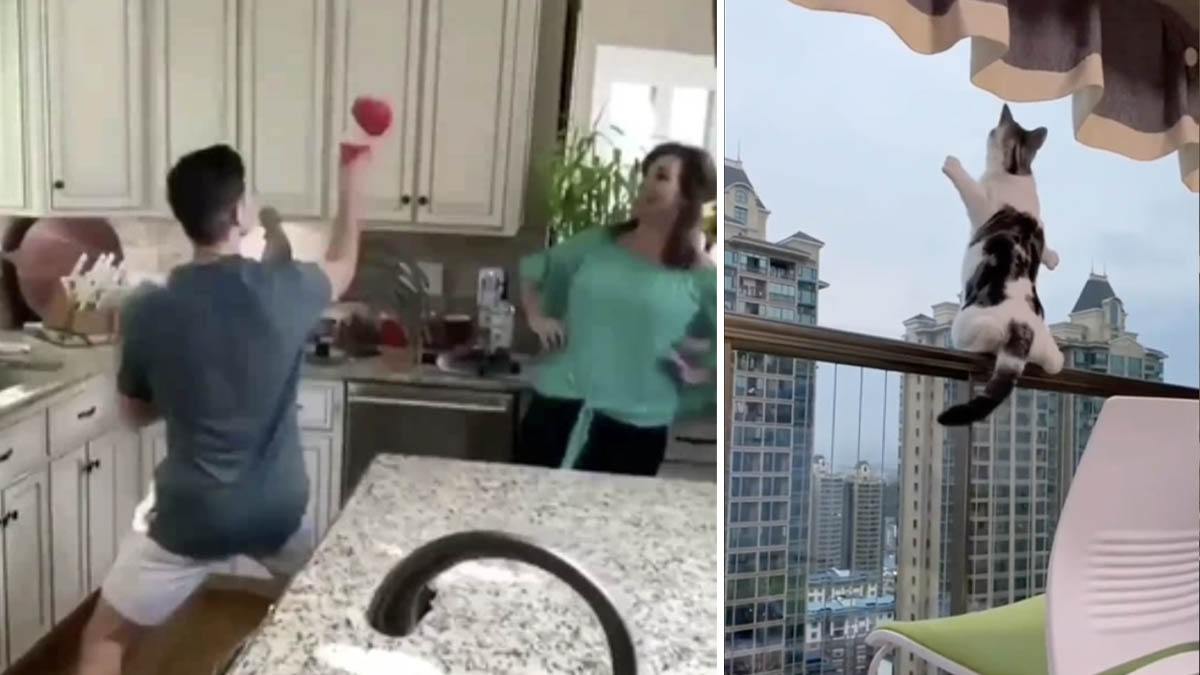 15 Close Calls That Prove Any Situation Can Be Conquered | Know Your Meme