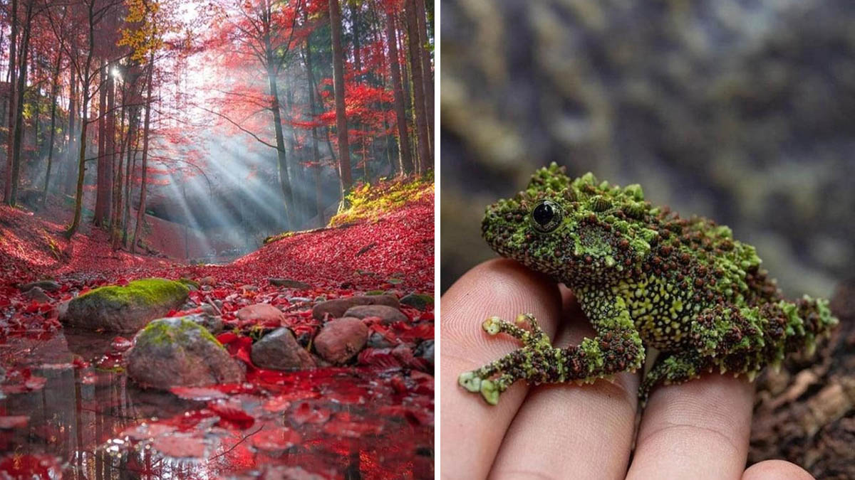Take A Break From Memes With These 15 Beautiful Photos Of Nature | Know ...