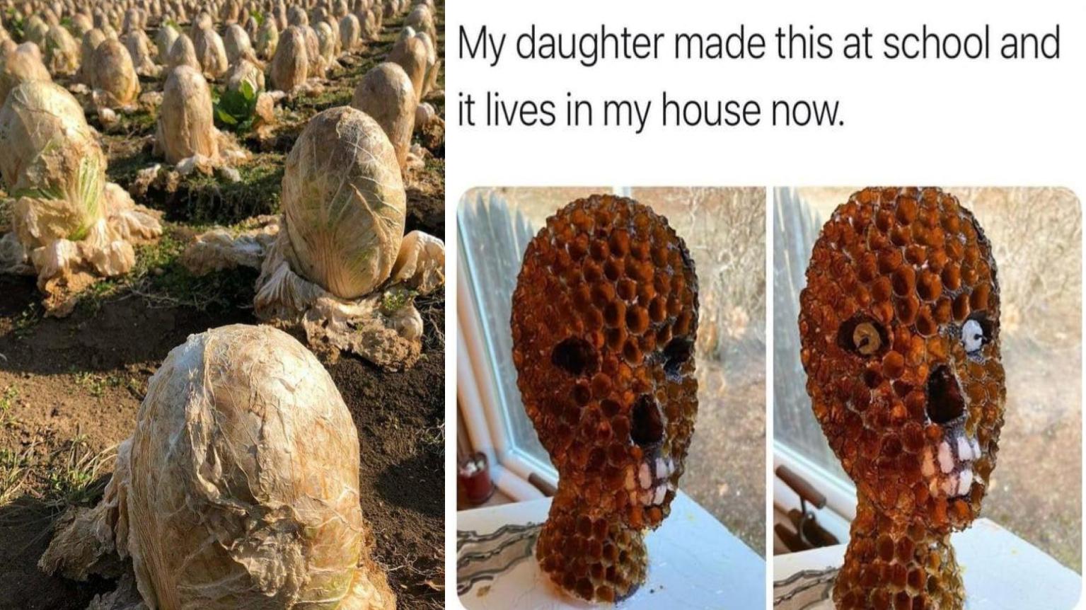 21 Oddly Terrifying Images Much Creepier Than They Should Be | Know ...