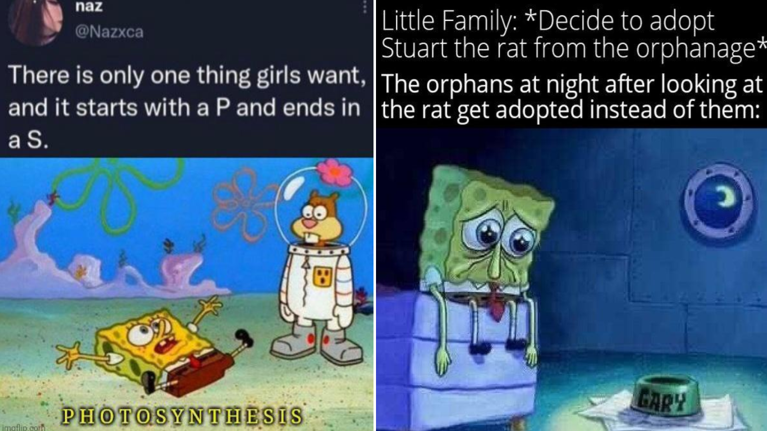 25 Timeless Memes From 'SpongeBob SquarePants' | Know Your Meme