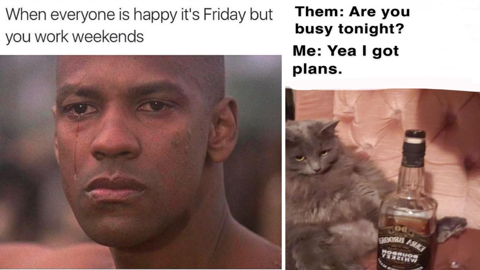 Happy Friday! Here Are 12 Memes For The Start Of The Weekend | Know ...