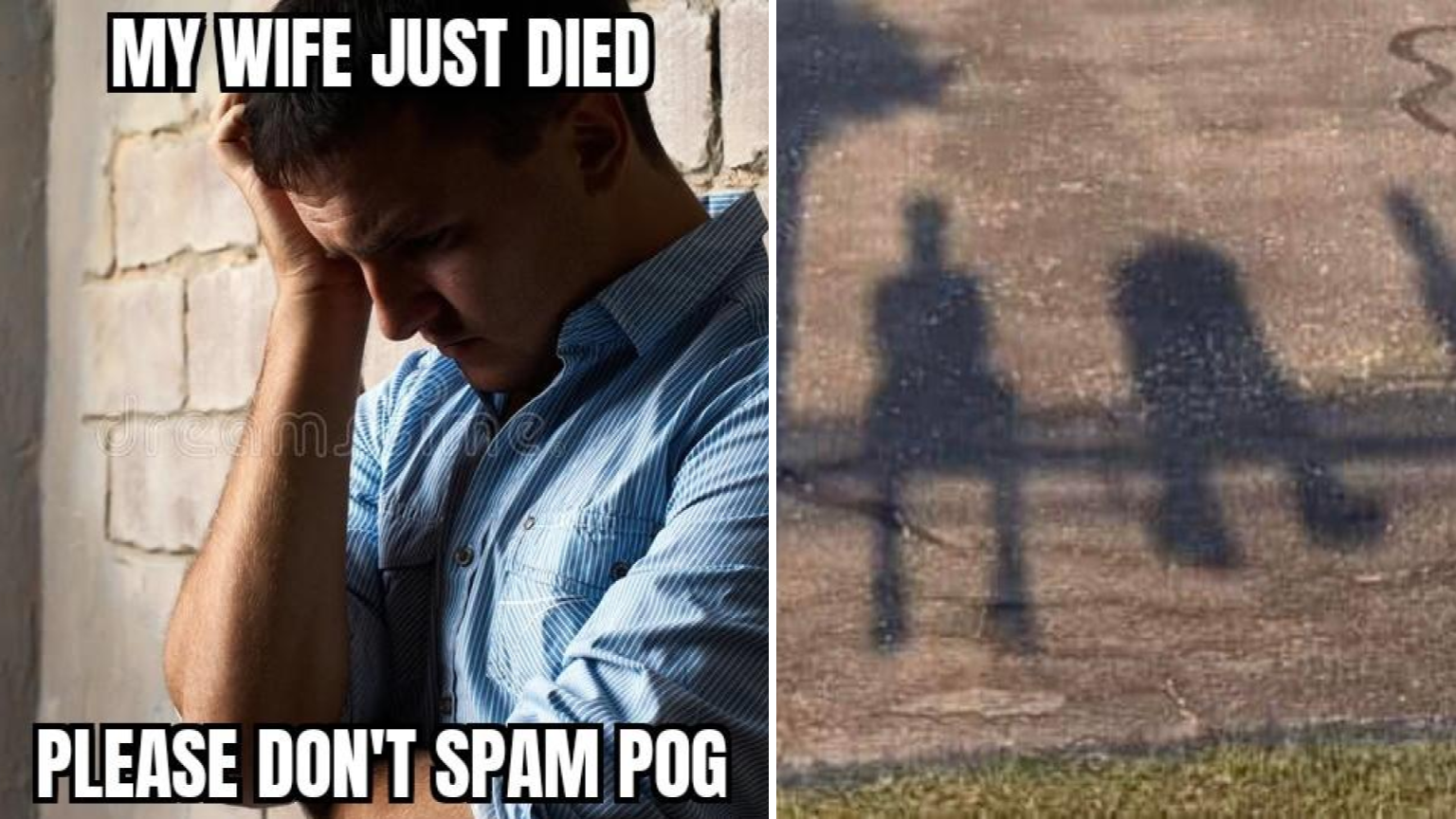 13 Low-Effort Posts That Are Inexplicably Funny | Know Your Meme