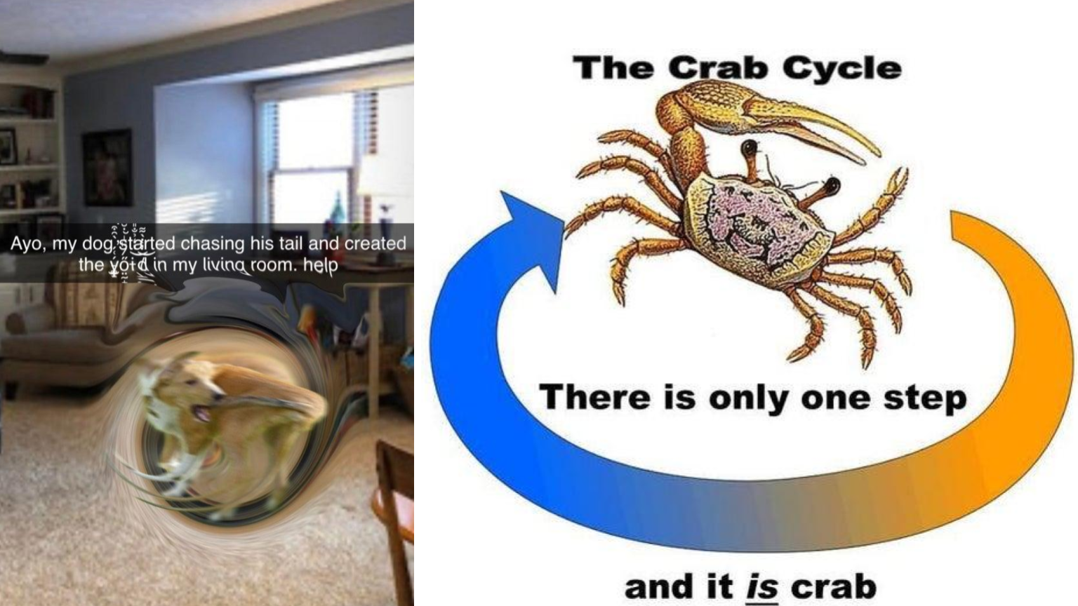 22 Surreal Memes That Are Deeply Perplexing | Know Your Meme