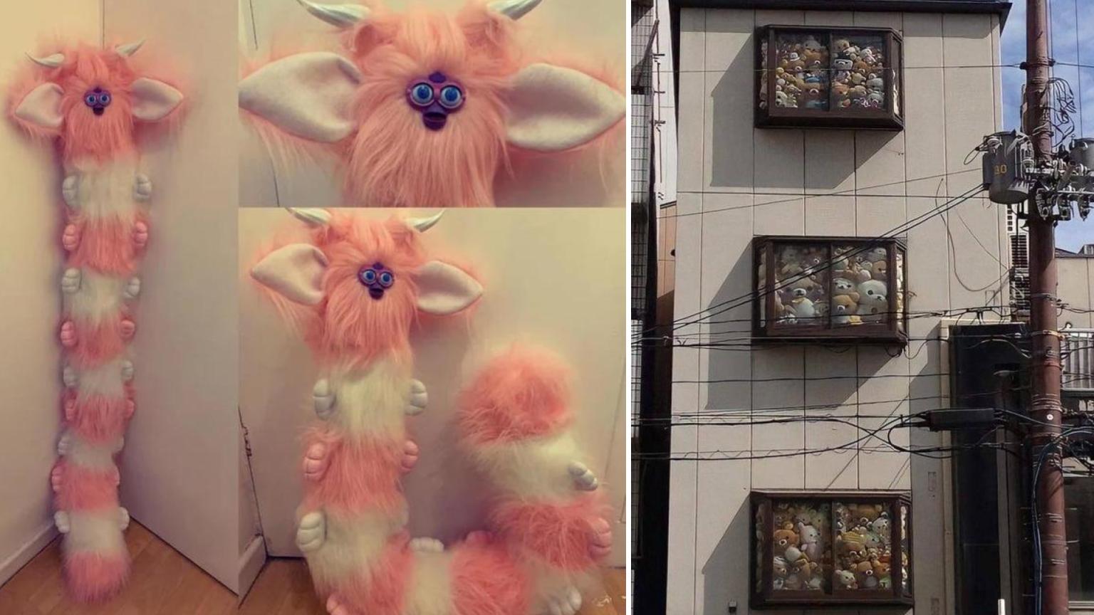 Some Of The Most Confusing Images Found Online | Know Your Meme