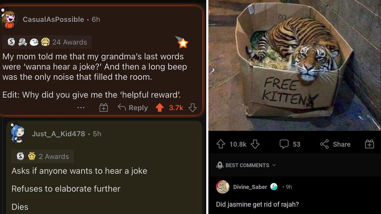 Know Your Meme: Internet Meme Database