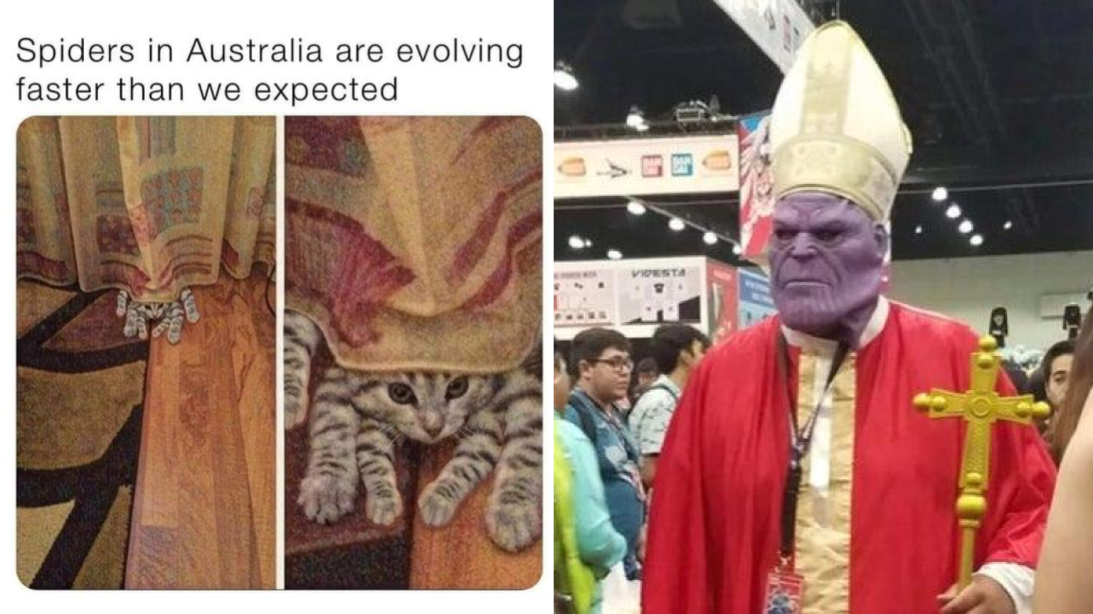 15 'Real-Life Bosses' You Don't Want To Fight | Know Your Meme