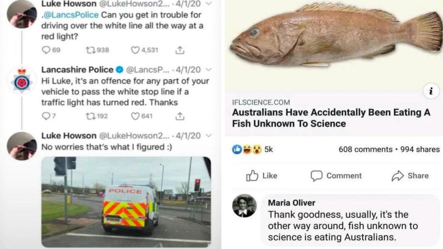 11 Surprising Exchanges From Reddit's 'Hol' Up' | Know Your Meme