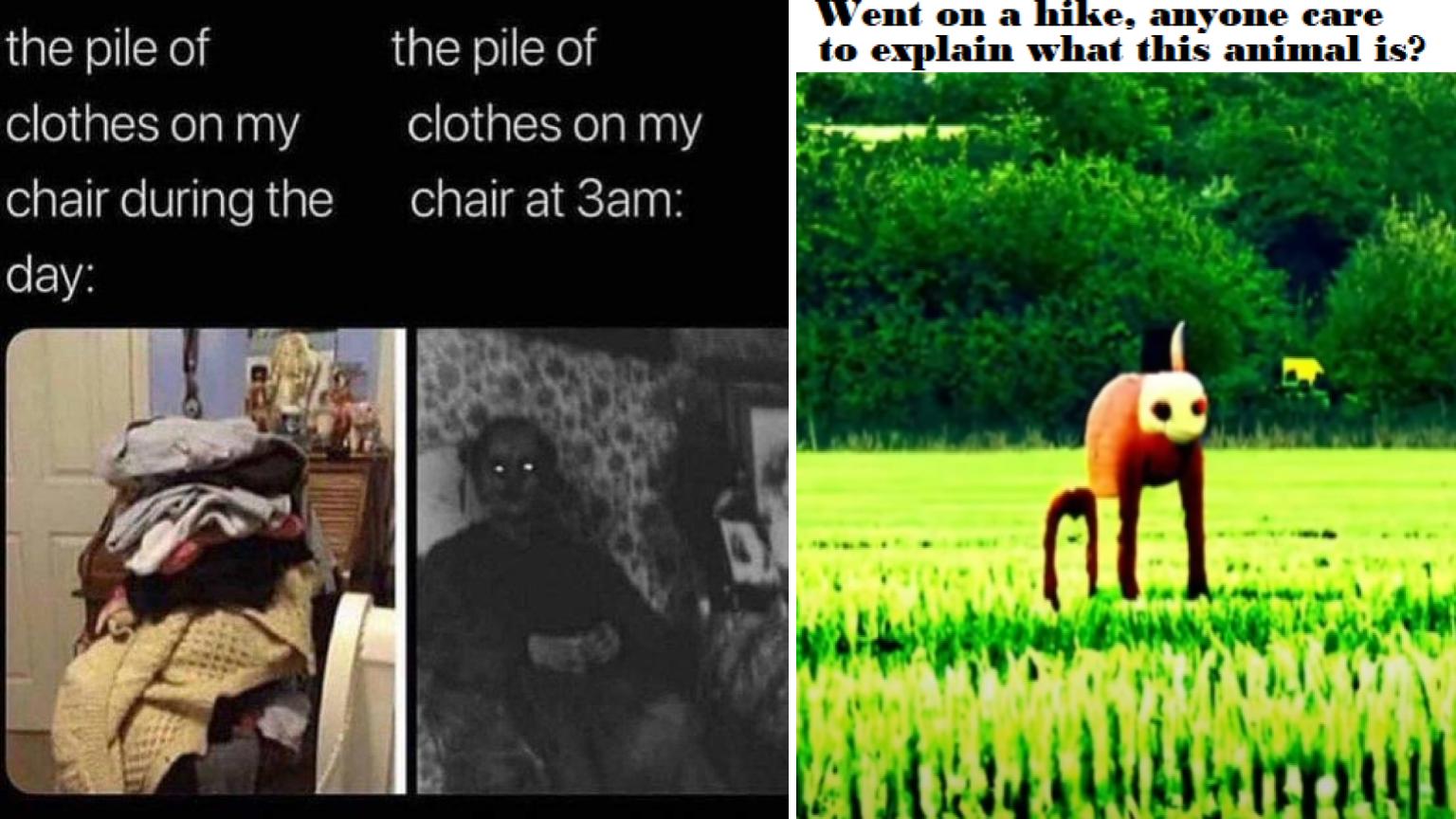 10 Cursed Memes From Reddit s Distressing Memes Know Your Meme